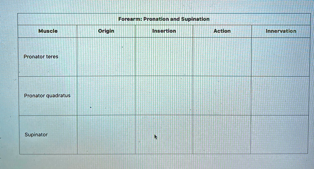 Forearm: Pronation and Supination Muscle Origin Insertion Action ...