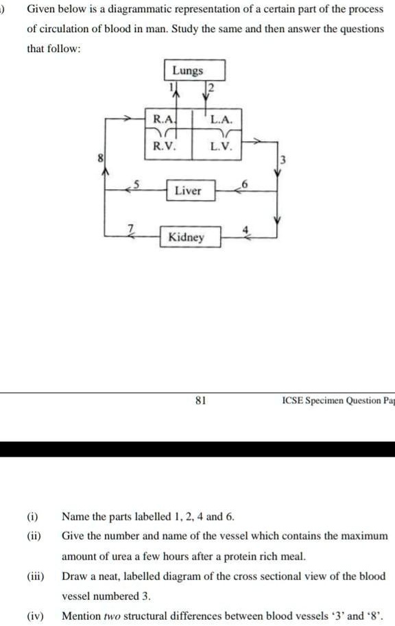 SOLVED: Given below is a diagrammatic representation of a certain part ...