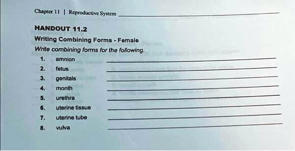 Chapter 11 | Reproductive System HANDOUT 11.2 Writing Combining Forms ...