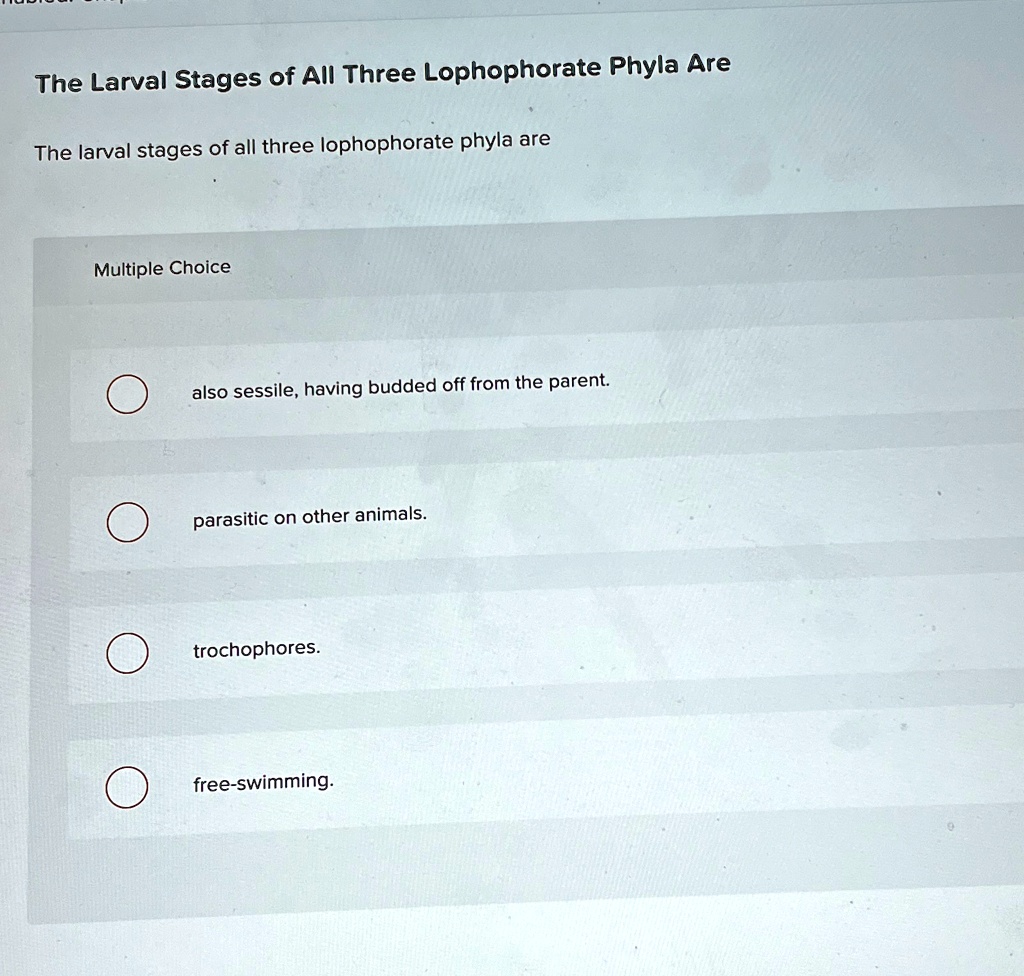 the larval stages of all three lophophorate phyla are the larval stages ...