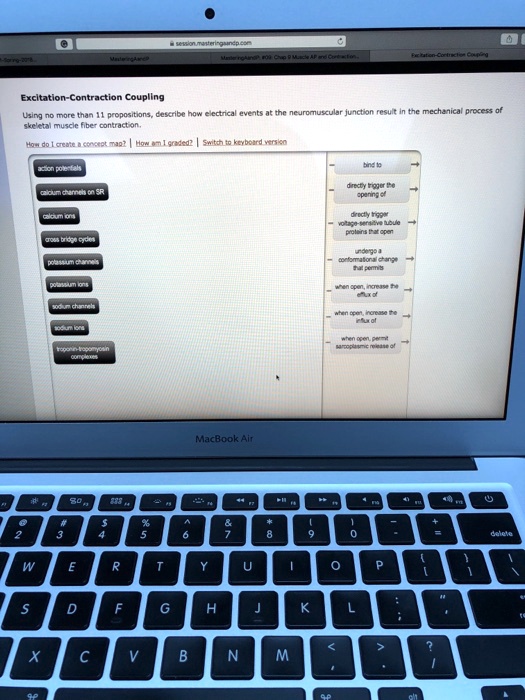 SOLVED: Build map session/masteringaandp.com Excitation-Contraction Coupling Using no more than ...