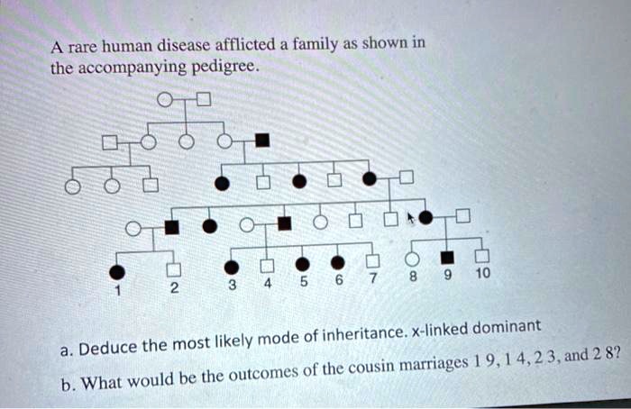 a rare human disease afflicted a family as shown in the accompanying ...