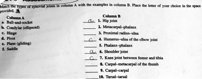 SOLVED: Match the types ol synovial joints column with the examples in column B Place the letter ...