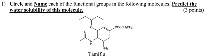 SOLVED: Circle and name each of the functional groups in the following ...