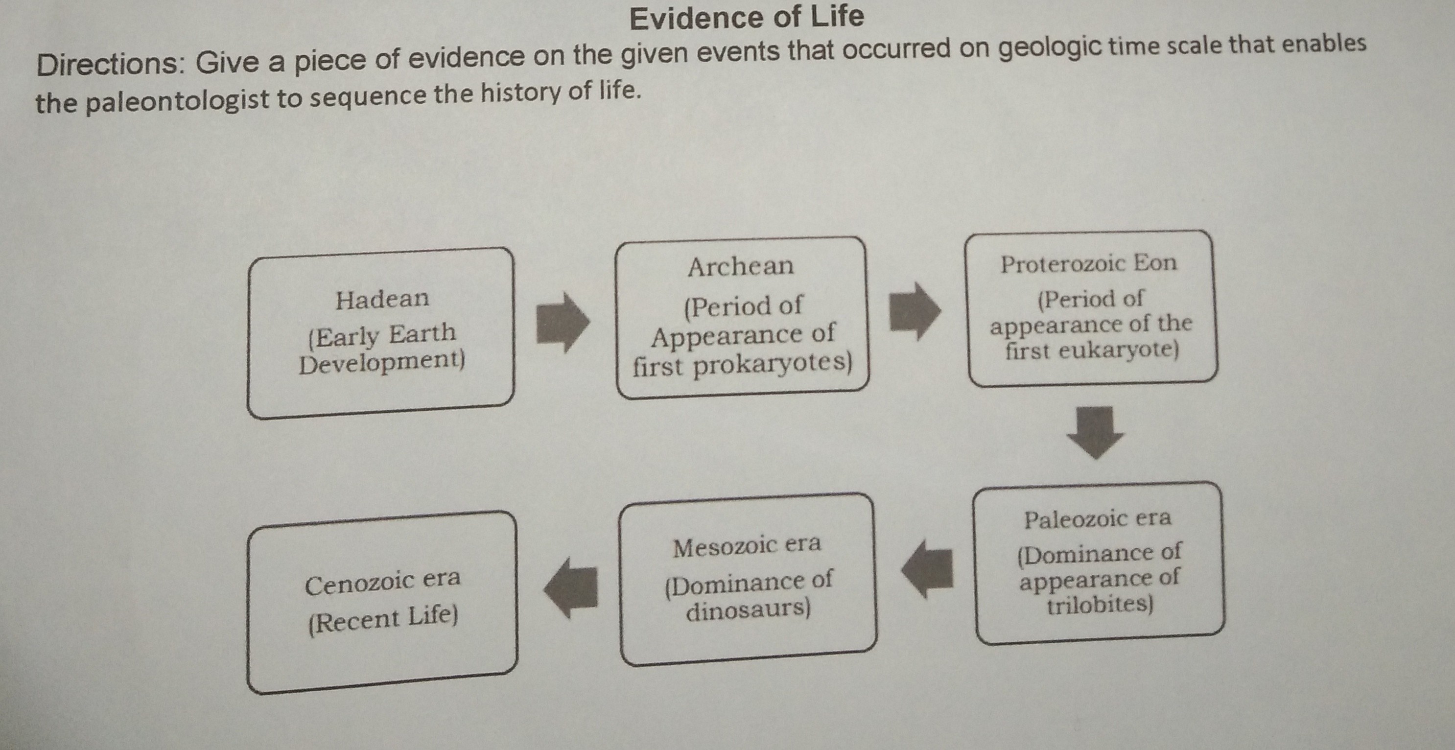 SOLVED: Evidence of Life Directions: Give a piece of evidence on the given events that occurred ...