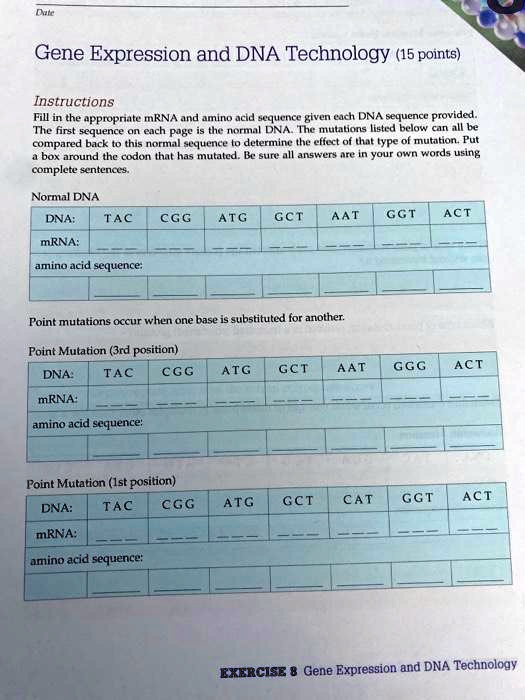 SOLVED:Gene Expression and DNA Technology (15 points) Instructions Fill ...