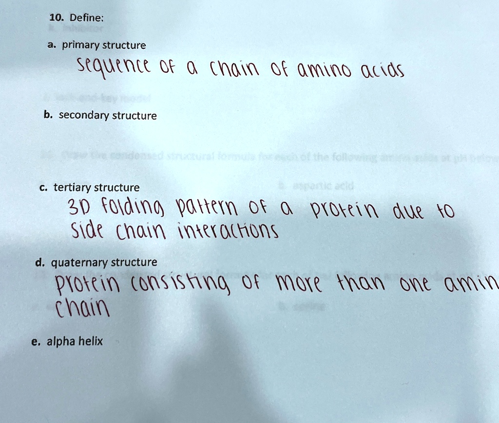 10 define a primary structure sequence of a chain of amino acids b secondary structure c ...
