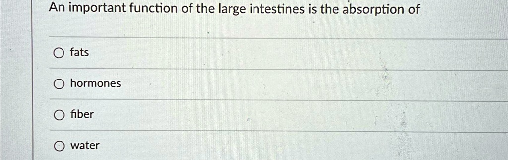 SOLVED: An important function of the large intestines is the absorption ...