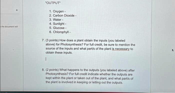 SOLVED: "OUTPUT" 1. Oxygen - 2. Carbon Dioxide - 3. Water - 4. Sunlight ...