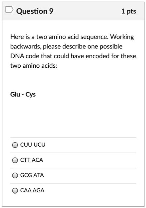 question 9 1 pts here is a two amino acid sequence working backwards ...