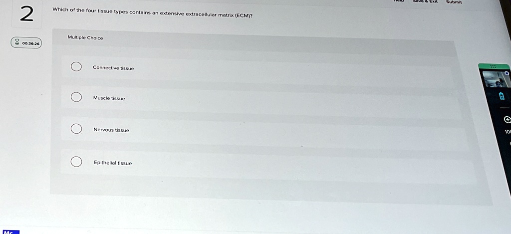 2 which of the four tissue types contains an extensive extracellular ...