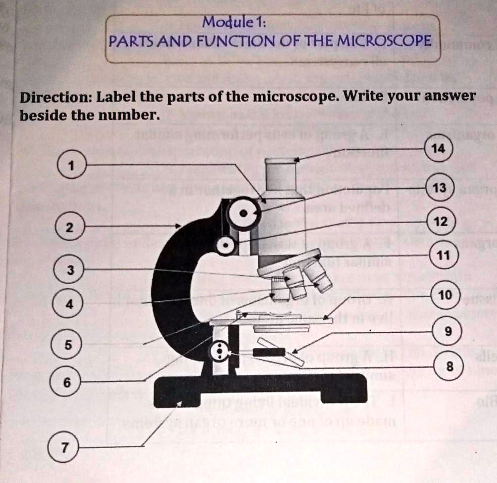 Module 1: PARTS AND FUNCTION OF THE MICROSCOPE Direction:...