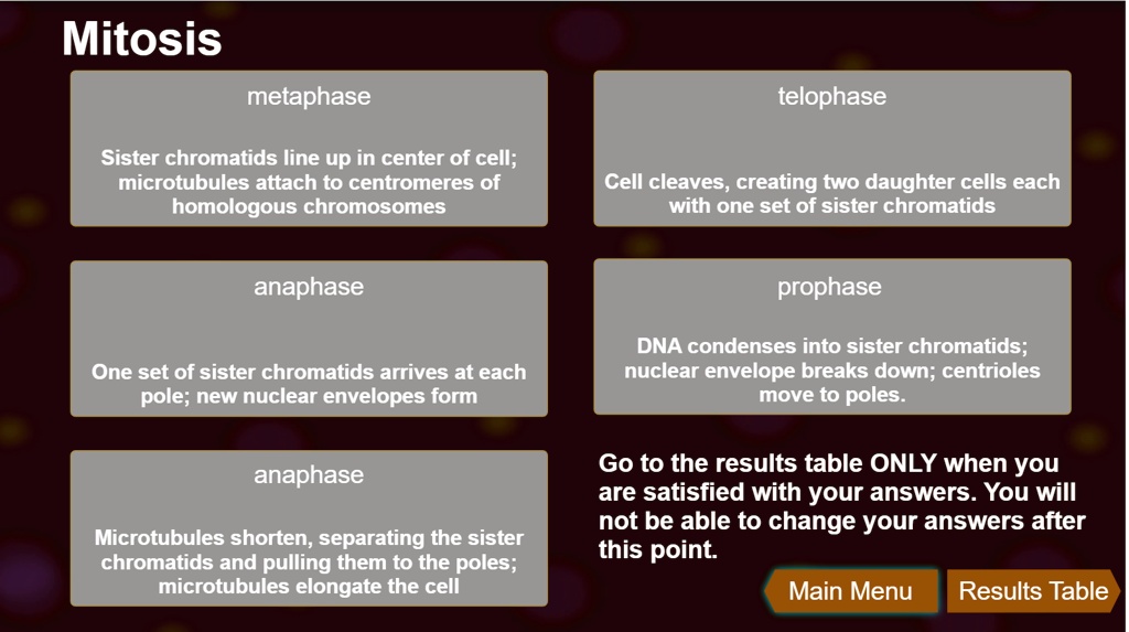 Mitosis metaphase Sister chromatids line up in center of cell ...