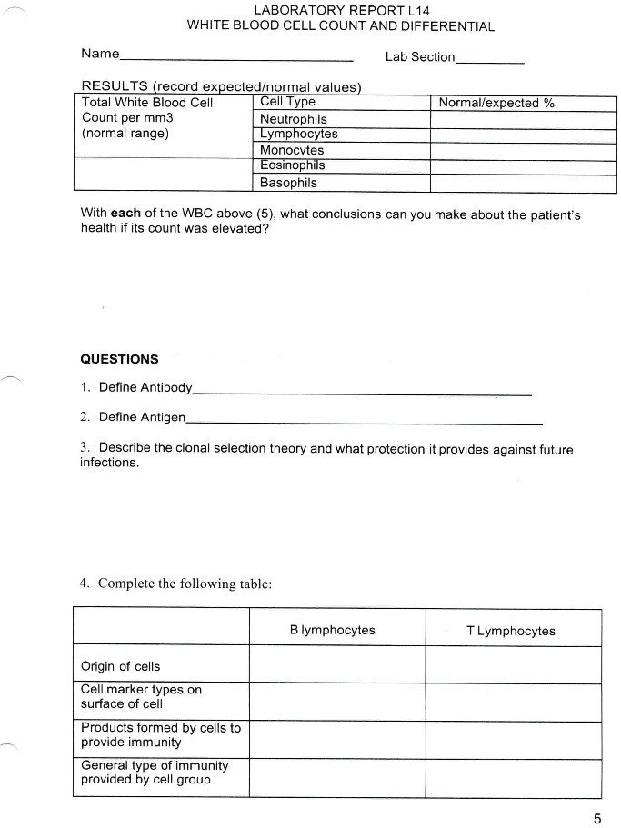 SOLVED: LABORATORY REPORT L14 WHITE BLOOD CELL COUNT AND DIFFERENTIAL ...