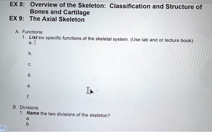 SOLVED: EX 8: Overview of the Skeleton Classification and Structure of Bones and Cartilage EX 9 ...