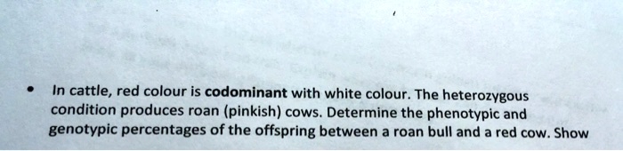 cattle red colour is codominant with white colour the heterozygous ...