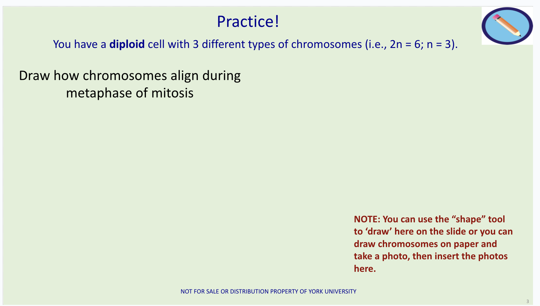 Practice! You have a diploid cell with 3 different types of chromosomes ...