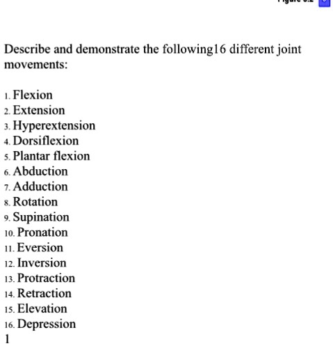 Describe and demonstrate the following 16 different joint movements: 1. Flexion 2. Extension 3 ...