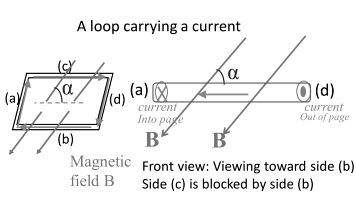 A loop carrying a current (c) α (a) (b) (d) (a) ? current Into page B⃗ ...