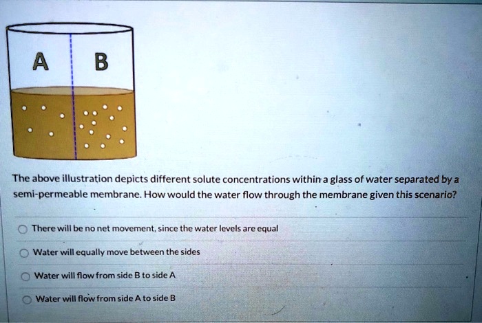 a b the above illustration depicts different solute concentrations ...
