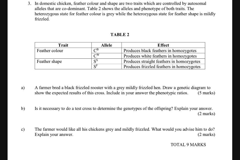 SOLVED: In domestic chickens, feather color and shape are two traits ...