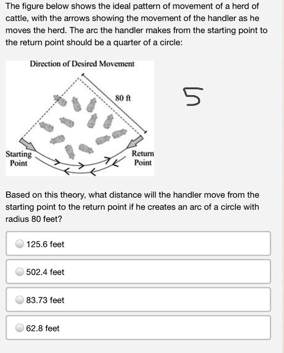 The figure below shows the ideal pattern of movement of a herd of ...