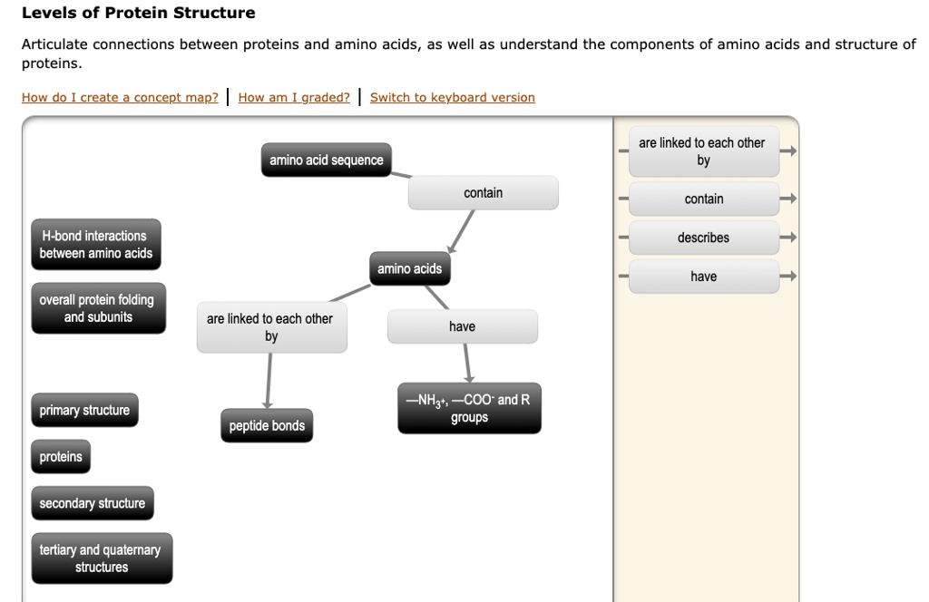 levels of protein structure articulate connections between proteins and ...