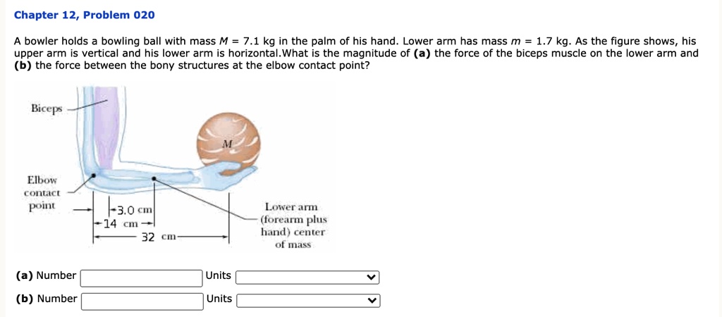 SOLVED:Chapter 12, Problem 020 bowler holds bowling ball with mass M ... SOLVED:Chapter 12, Problem 020 bowler holds bowling ball with mass M ...