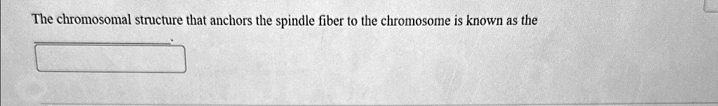 The chromosomal structure that anchors the spindle fiber to the ...