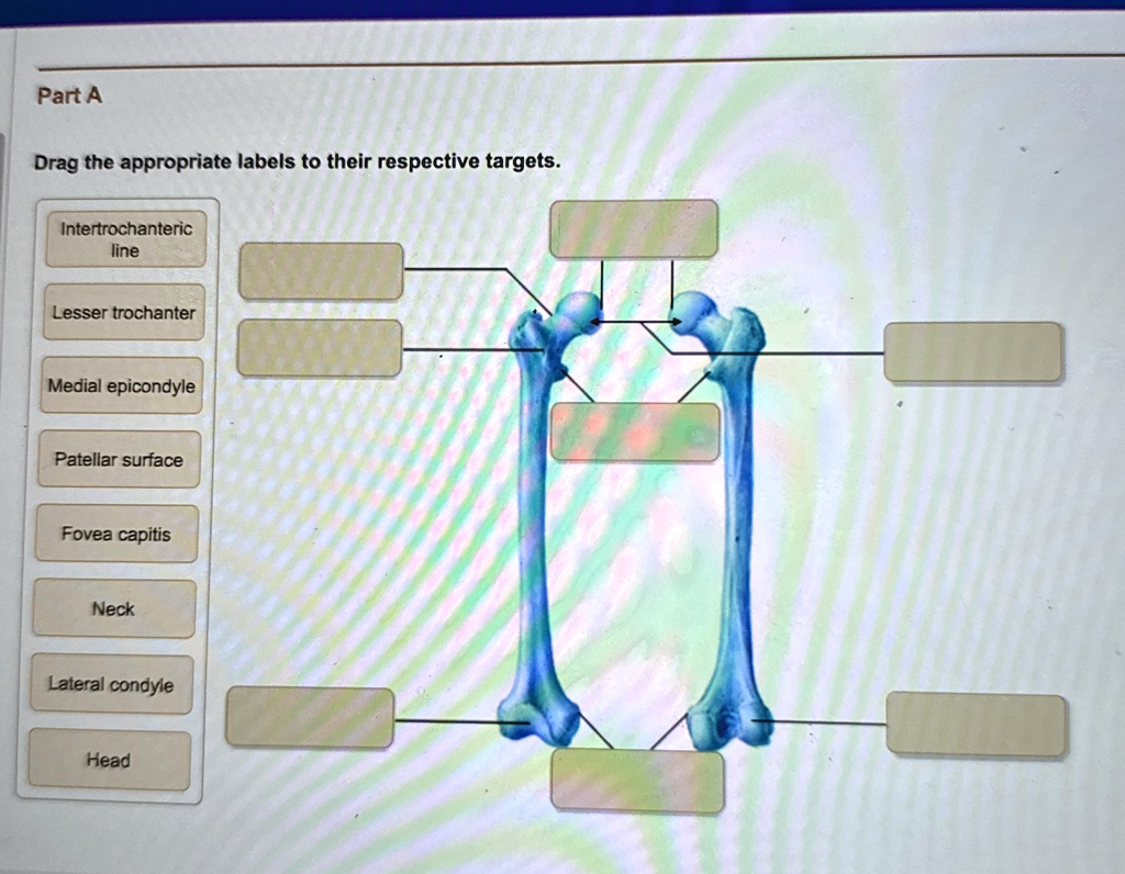 part a drag the appropriate labels to their respective targets ...