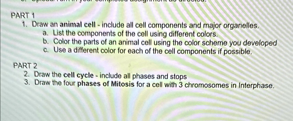part 1 draw an animal cell include all cell components and major ...