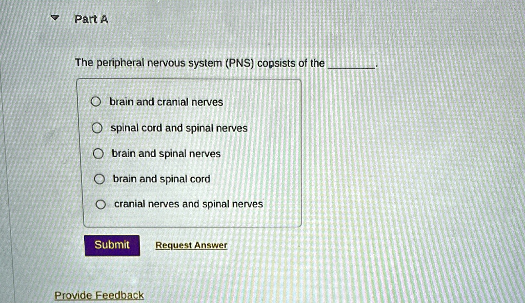 Part A The peripheral nervous system (PNS) consists of the brain and ...