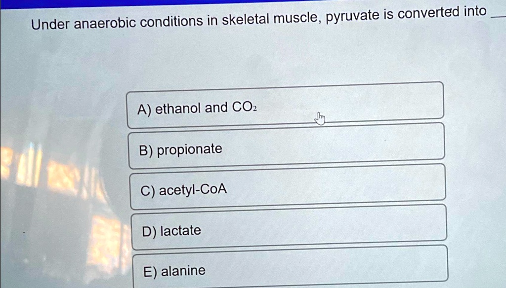 Under anaerobic conditions in skeletal muscle, pyruvate is...