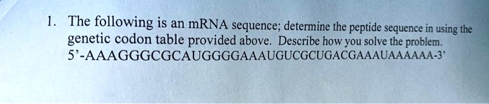 SOLVED: The following is an mRNA sequence; determine the peptide sequence in using the genetic ...