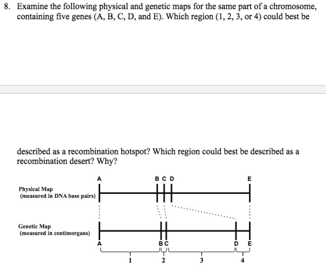 examine the following physical and genetic maps for the same part of a ...