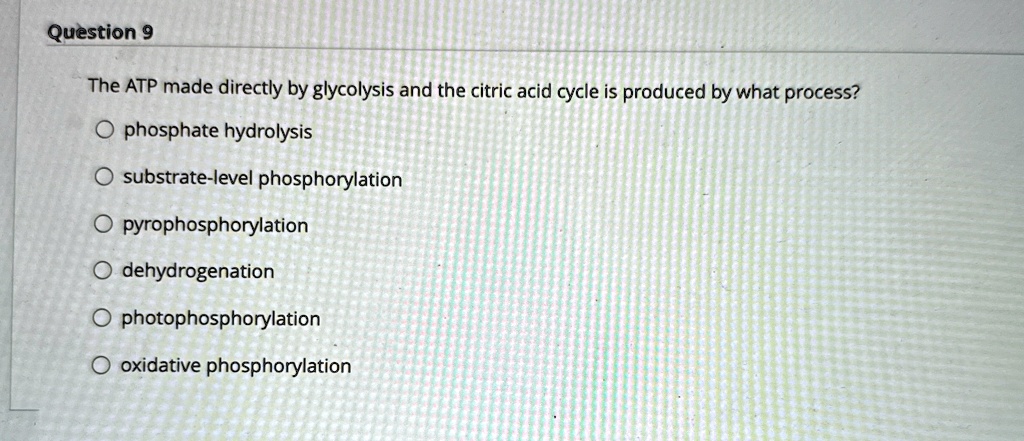 question 9 the atp made directly by glycolysis and the citric acid ...
