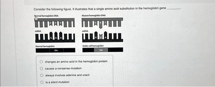 Consider the following figure. It illustrates that a single amino acid ...