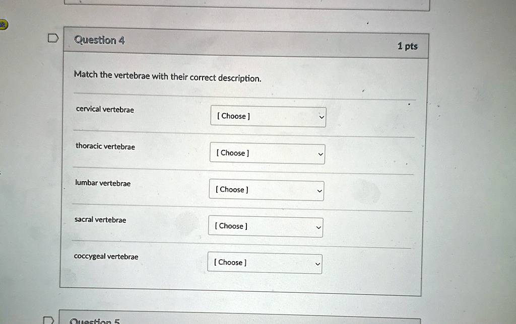 Question 4 Match the vertebrae with their correct description. cervical ... Question 4 Match the vertebrae with their correct description. cervical ...