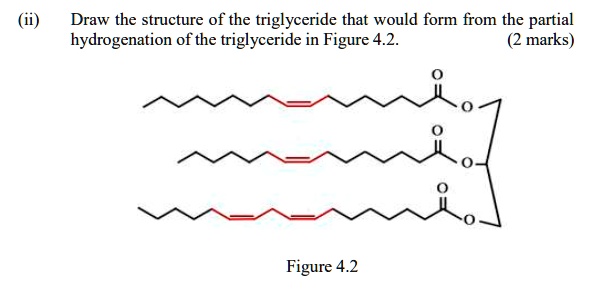 SOLVED: Draw the structure of the triglyceride that would form from the ...