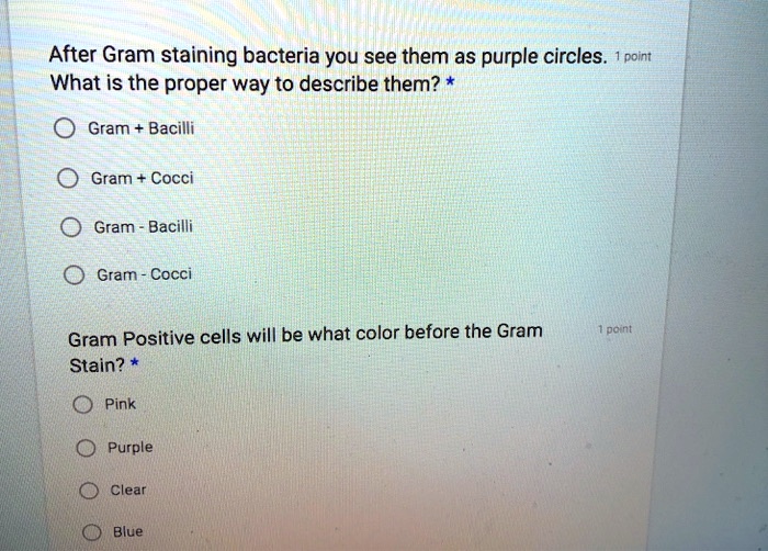 SOLVED: After Gram staining bacteria you see them as purple circles. point What is the proper ...