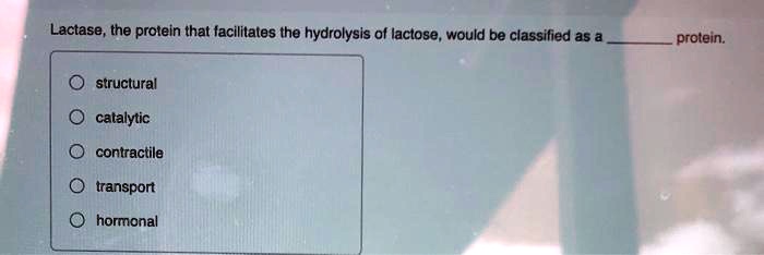 Lactase, the protein that facilitates the hydrolysis of...