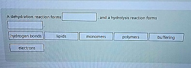 SOLVED: A dehydration reaction forms and a hydrolysis reaction forms A ...