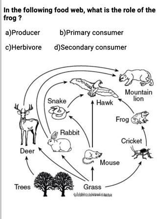 In the following food web, what is the role of the frog ? a)...
