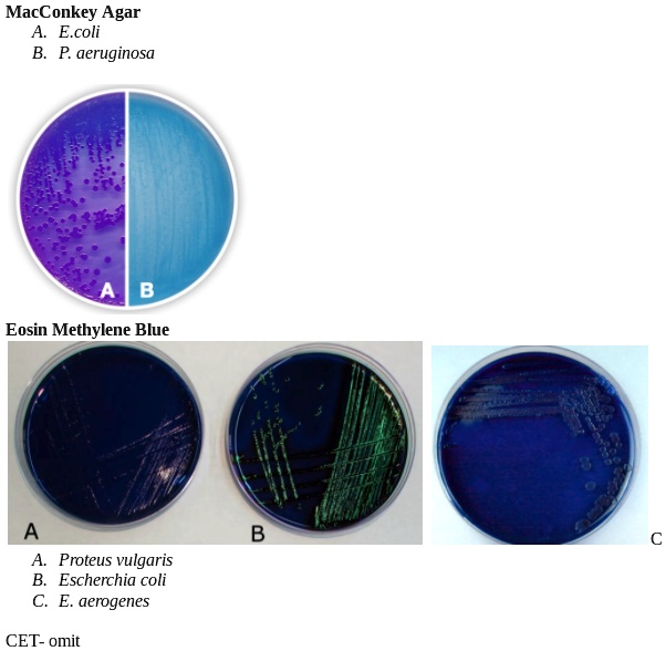 SOLVED: MacConkey Agar E.coli P aeruginosa Eosin Methylene Blue Proteus ...