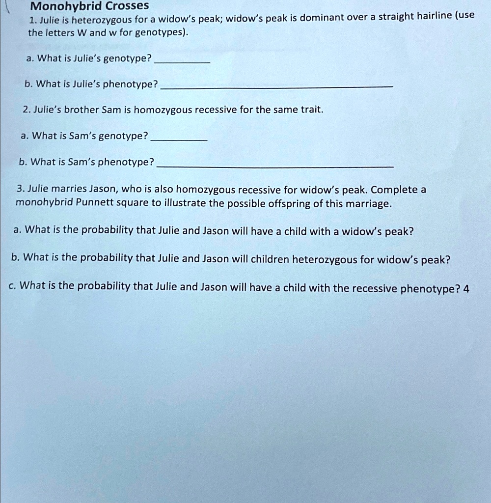 Monohybrid Crosses Julie is heterozygous for a widow's peak; widow's ...