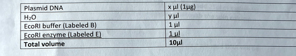 [GET ANSWER] plasmid dna x l 1g h2o y l ecori buffer labeled b 1 l ecori enzyme labeled e 1 l ...