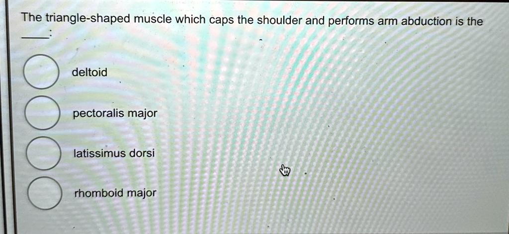 the triangle shaped muscle which caps the shoulder and performs arm ...
