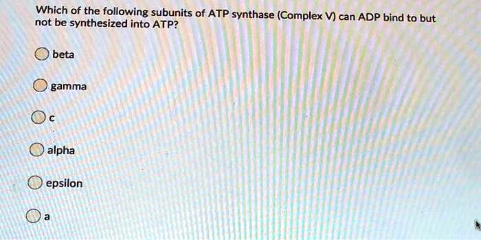 SOLVED: Which of the following subunits of ATP synthase (Complex V) can ADP bind to but not be ...