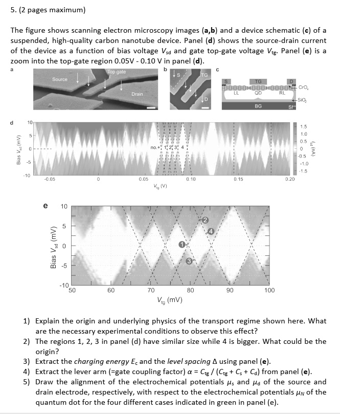 SOLVED: (2 pages maximum) The figure shows scanning electron microscopy ...