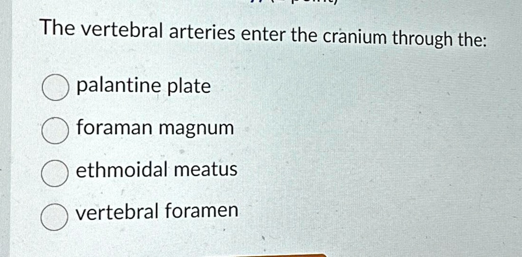 The vertebral arteries enter the cranium through...
